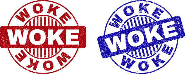 Grunge woke textured rectangle stamp seals Vector Image