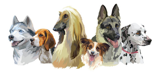 Dog Vector Images (over 300,000)