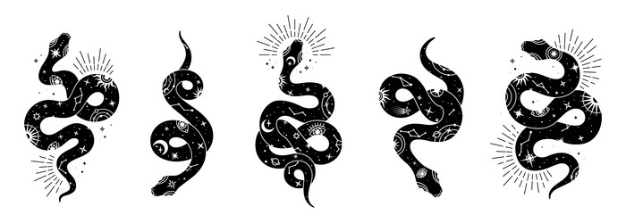 Snake set of mystical magic objects- moon eyes Vector Image