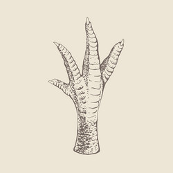 Chicken Feet Vector Images (over 550)