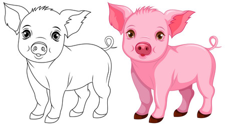 Show Pig Clip Art
