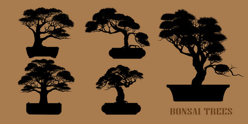 Bonsai tree Royalty Free Vector Image - VectorStock