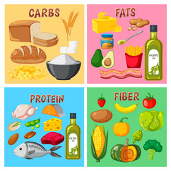 Four main food groups Royalty Free Vector Image