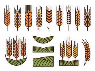 Barley Vector Images (over 31,000)
