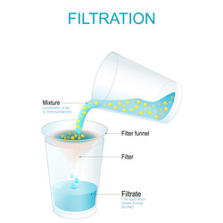 Diagram showing filtration process Royalty Free Vector Image