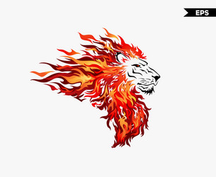 Fire Lion Tattoo