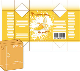 Tissue box packaging design template Royalty Free Vector