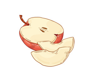 Apple Peel Vector Images (over 1,000)