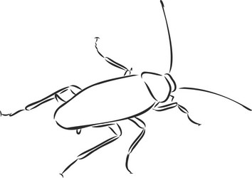 Cockroach insect pest realistic sketch Royalty Free Vector