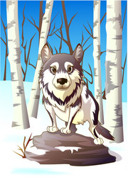 Blue Wolf Cartoon Vector Images (over 670)