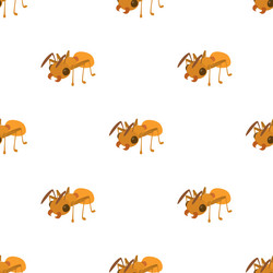 Chitin Vector Images (over 850)