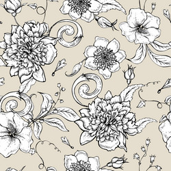 Peony flower seamless pattern drawing hand Vector Image