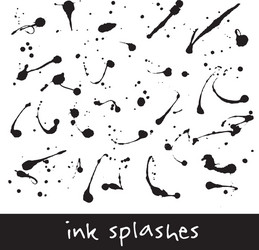 Splash Royalty Free Vector Image - VectorStock