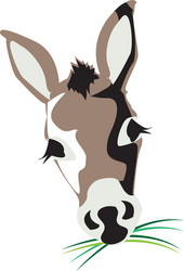 Donkey Head Vector Images (over 1,900)