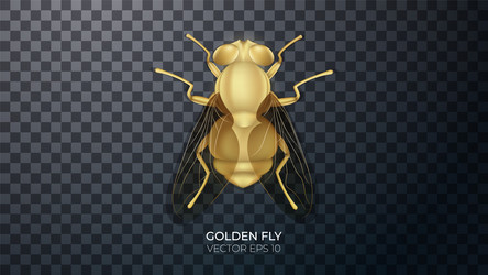 3d golden wasp with highlights and reflections Vector Image