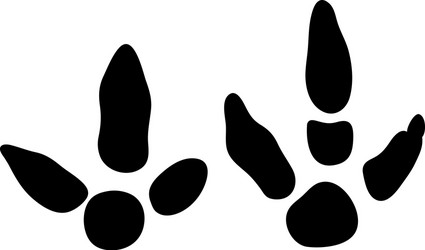 Donkey footprint track of farm Royalty Free Vector Image