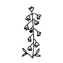 Hand drawn lily of the valley Royalty Free Vector Image