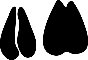 Horse animal footprints Royalty Free Vector Image