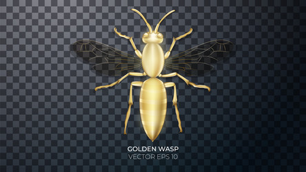 3d golden fly with highlights and reflections Vector Image