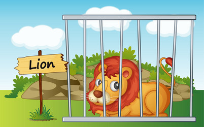 Cartoon Lion In Cage