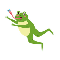 Frog eating fly jumping Royalty Free Vector Image