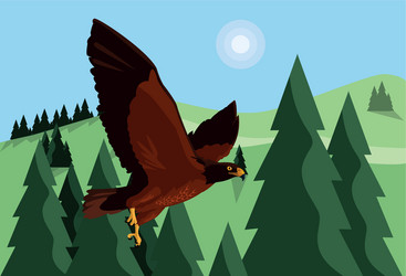 Hawk Flying Vector Images (over 23,000)