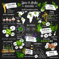 Proteins diet infographic diagram poster water Vector Image