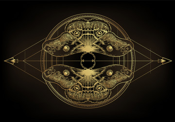 Deaths head moth on gold sacred geometry Vector Image