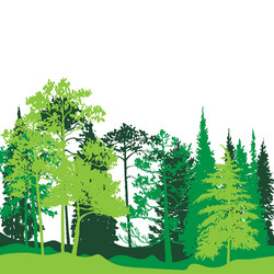 Forest landscape Royalty Free Vector Image - VectorStock