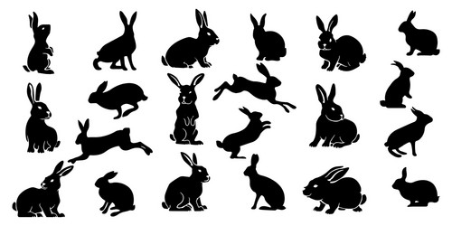 Rabbit Vector Images (over 190,000)