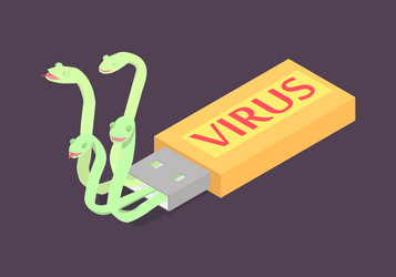Infected usb flash drive virus Royalty Free Vector Image