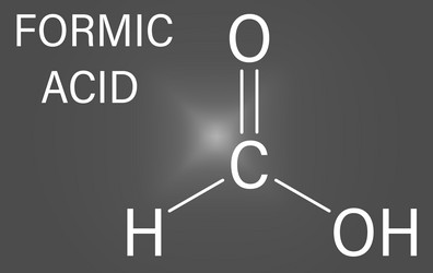 Lewis Structure For Ch2o2