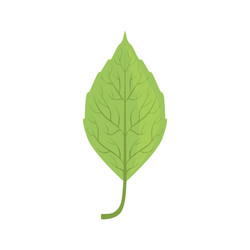 Elm Tree Vector Images (over 2,100)
