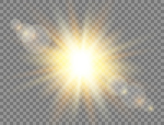 Glowing sunlight a transparent background Vector Image
