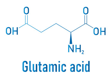 Glutamic acid molecule skeletal formula Royalty Free Vector