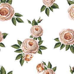 Pink english roses seamless pattern Royalty Free Vector