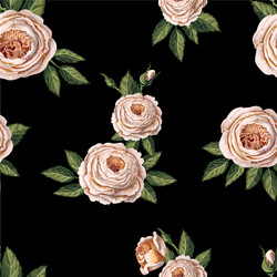 Pink english roses seamless pattern Royalty Free Vector