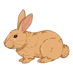 Bunny Side View Vector Images (over 130)