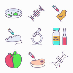 Genetically modified organism gmo infographics Vector Image