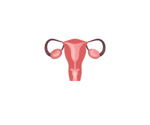 Female Reproductive Organ Vector Images (over 3,900)