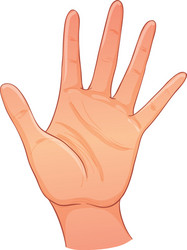 Open hand human palm drawn Royalty Free Vector Image