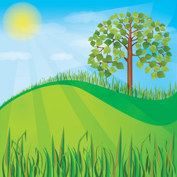 Spring pasture Royalty Free Vector Image - VectorStock