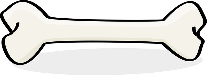 Cartoon Bone