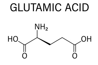 Glutamic acid molecule skeletal formula Royalty Free Vector