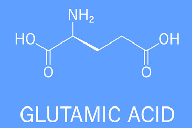 Glutamic acid molecule skeletal formula Royalty Free Vector