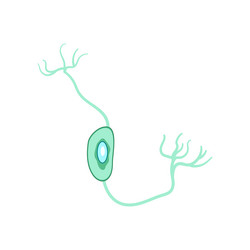 Diagram neurons cartoon Royalty Free Vector Image