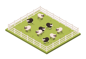 Farm Sheep Paddock Vector Images (26)