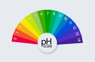 Ph scale chart for acid and alkaline solutions Vector Image
