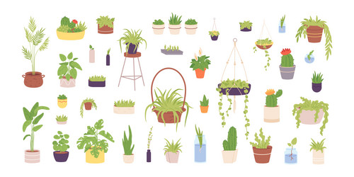 Planters Vector Images (over 7,000)