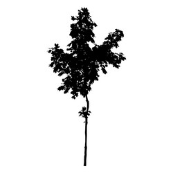 Black small tree Royalty Free Vector Image - VectorStock